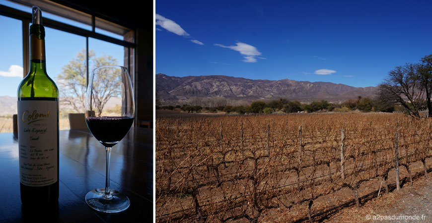 Salta et la découverte des vins argentins - a2pasdumonde